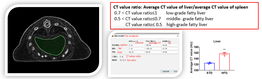 药效纵向研究新利器？Micro-CT影像技术在药物临床前小鼠药效模型上的应用 - 知乎