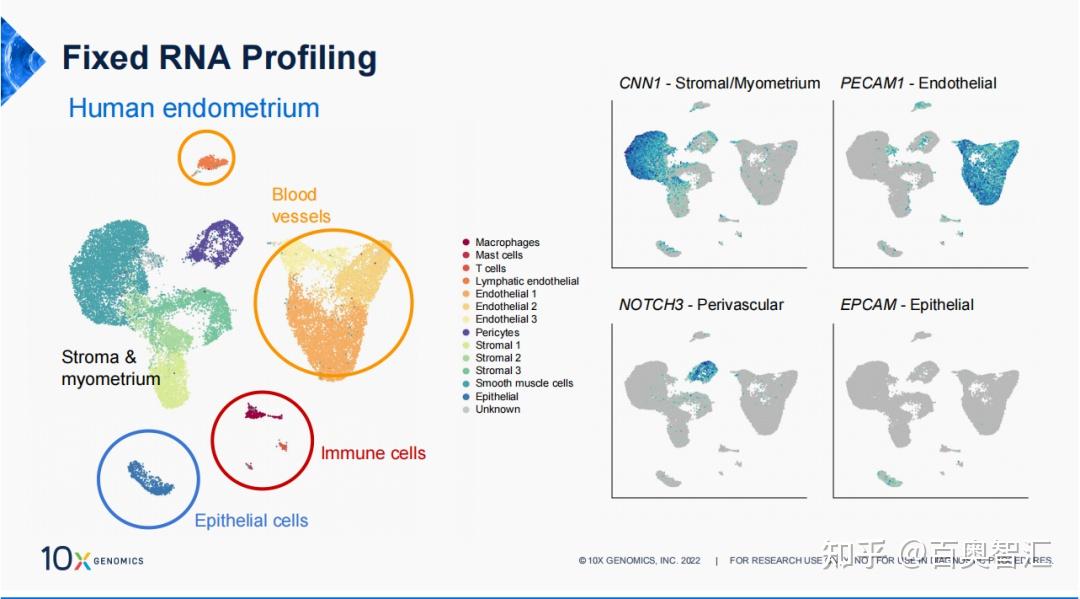 新品大促，低价来袭 | 单细胞Fixed RNA Profiling - 知乎