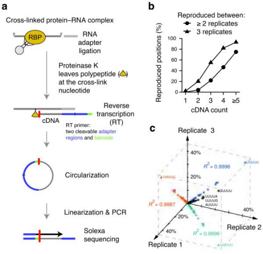 国自然热点 | RNA结合蛋白调控机制研究方法（二）_CLIP-seq - 知乎