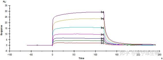 Biacore检测蛋白与小分子相互作用 - 知乎