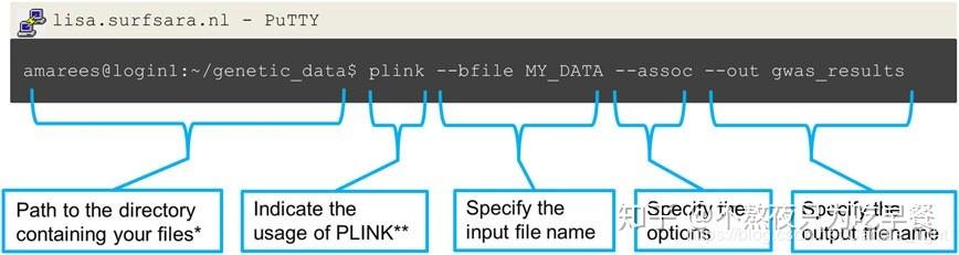 一篇手把手教你做GWAS的Guideline文献解读 - 知乎