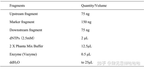融合PCR-基因敲除 - 知乎