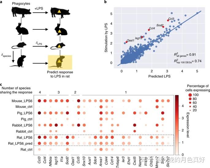每天一篇单细胞16-方法4：scGen - 知乎