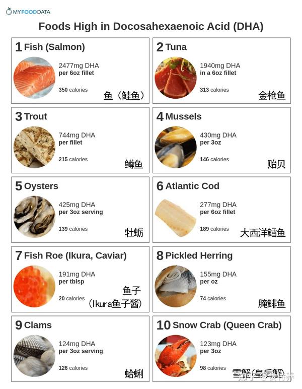 DHA含量最高的食物清单TOP10 - 知乎