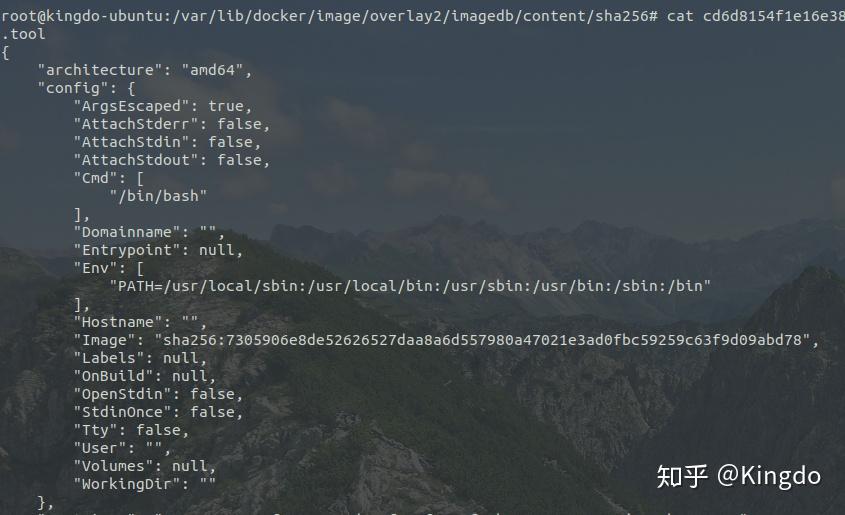 docker中镜像存储中各个ID的详细介绍（imageID\cacheID\diffID...） - 知乎