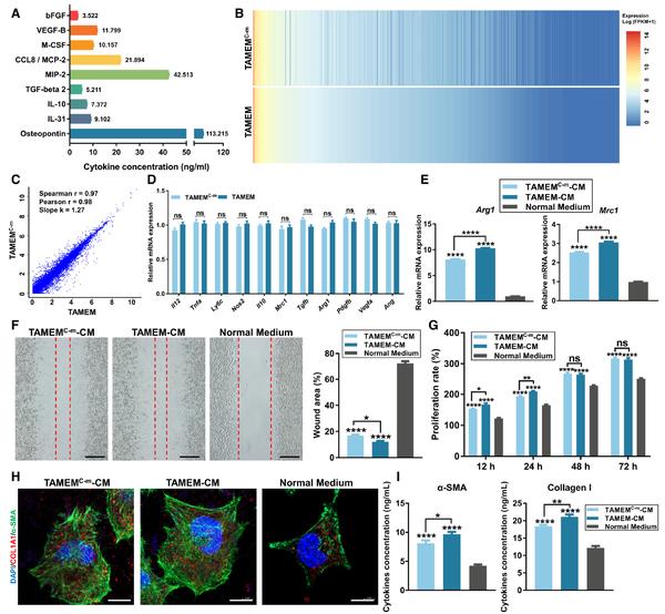 EMBO Molecular Medicine（IF：14.260）|RayBio抗体芯片助力糖尿病患者伤口修复研究 - 知乎