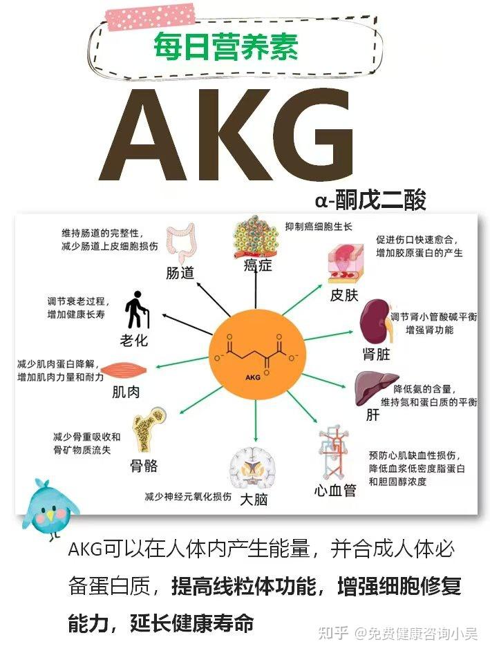 AKG的作用是什么？ - 知乎