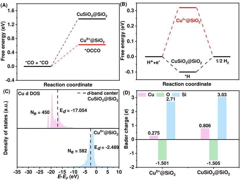 催化吉布斯自由能概念全解 - 知乎