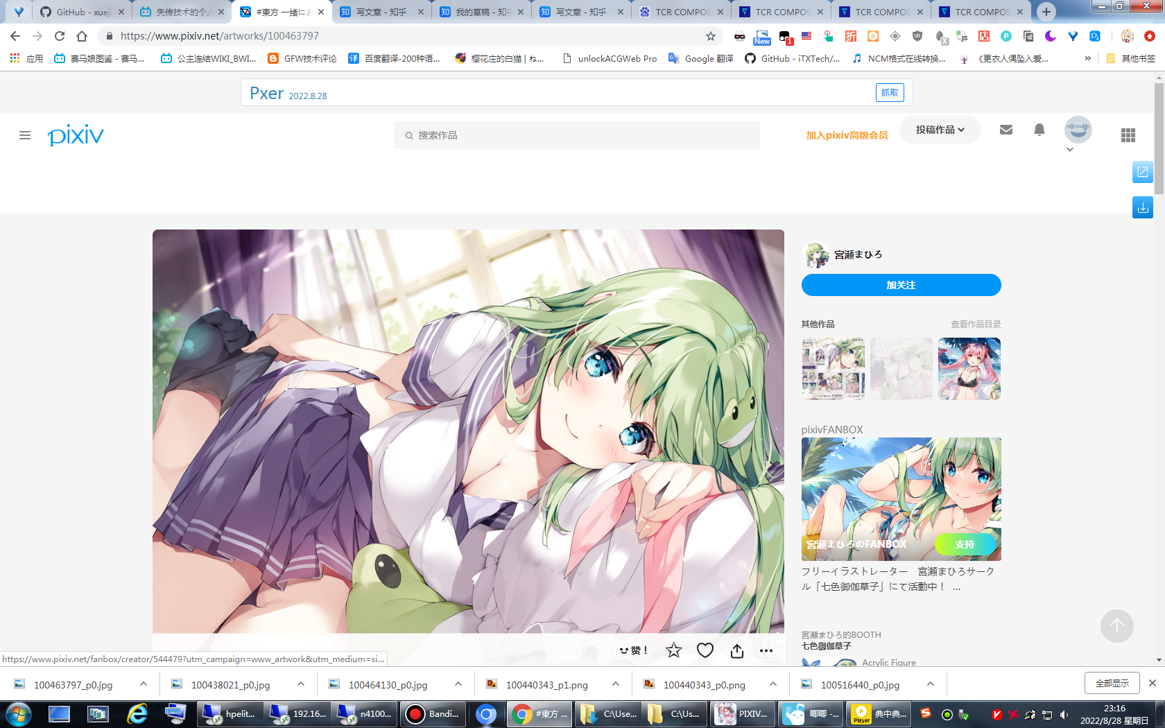 Powerful Pixiv Batch Downloader批量下载器使用教程 - 知乎