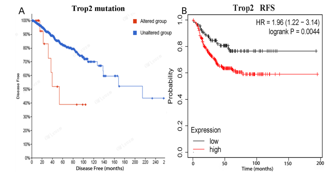 TROP2：蛋白、癌症与药物 - 知乎