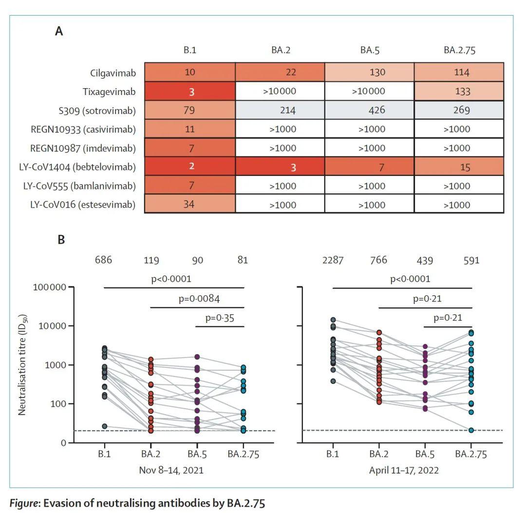 BA.2.75.2.*极可能成为下一个优势奥密克戎亚变体 - 知乎