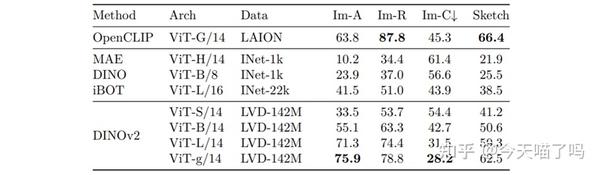 视觉基础模型：DINOv2 after SAM - 知乎