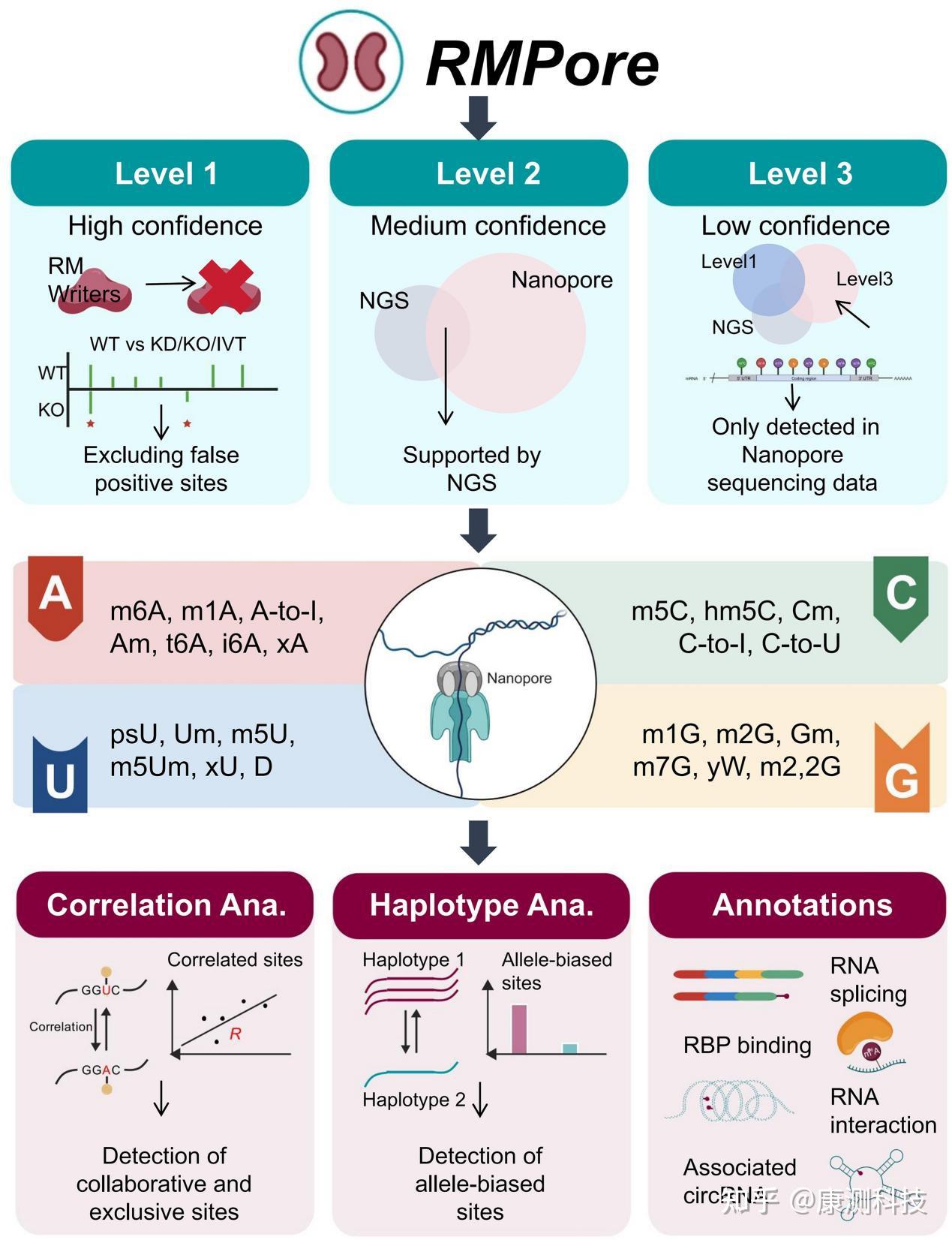 RMPore：Nanopore Direct RNA测序助力，单分子RNA修饰综合数据库全新发布 - 知乎