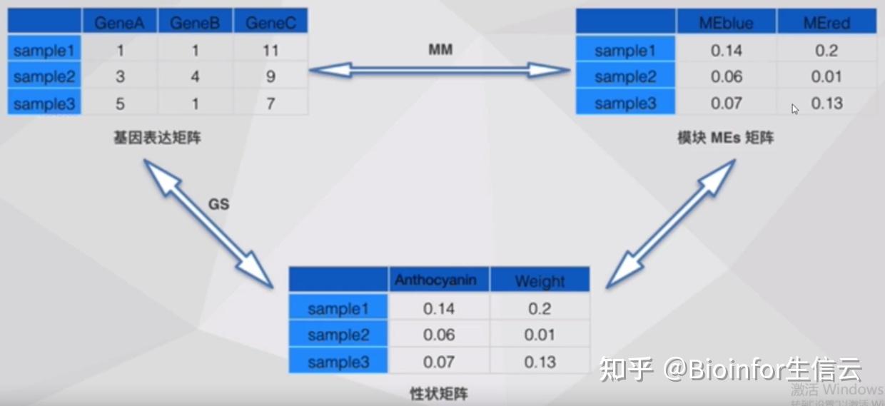 WGCNA的原理和分析步骤 - 知乎