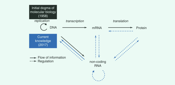 Long Non-Coding RNA 生物学 | 书籍 |1.1-1.5 - 知乎