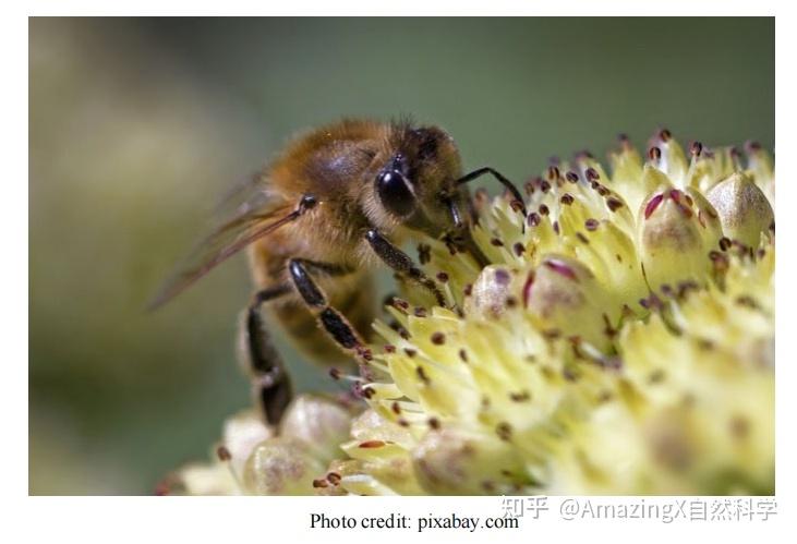 2022HiMcM【A/B题】独家思路+数据+建模资料 - 知乎