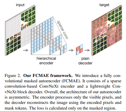 ConvNeXt V2:使用掩码自动编码器共同设计和扩展ConvNets - 知乎