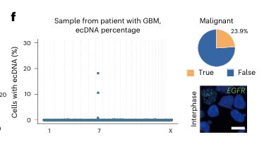 ecDNA与HSR信号可以被Droplet-HiC技术区分检测 - 知乎