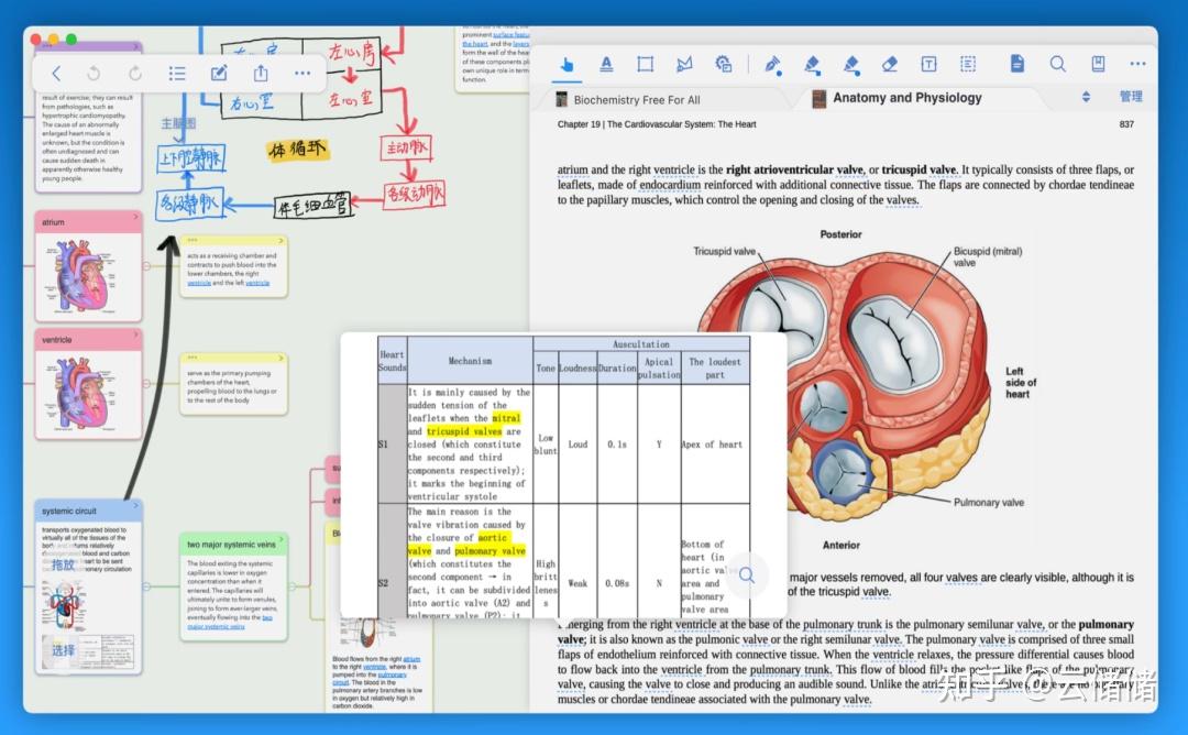 MarginNote 4 即将登场，3 代用户可免费升级！ - 知乎