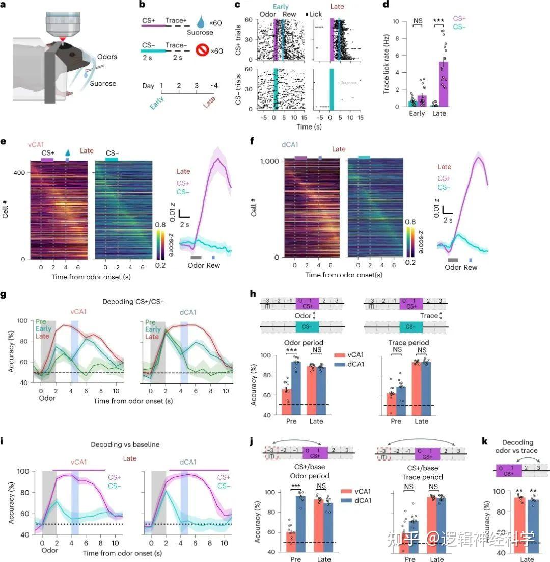 Nat Neurosci︱加州大学旧金山分校团队：海马背侧和腹侧关联学习的神经动力学新发现 - 知乎