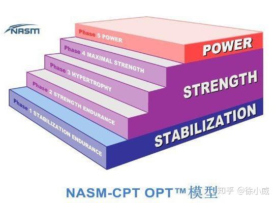 NASM OPT模型和 ACE IFT模式 - 知乎
