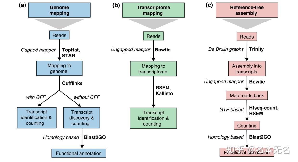 RNA-seq 分析流程 —— 概述 - 知乎
