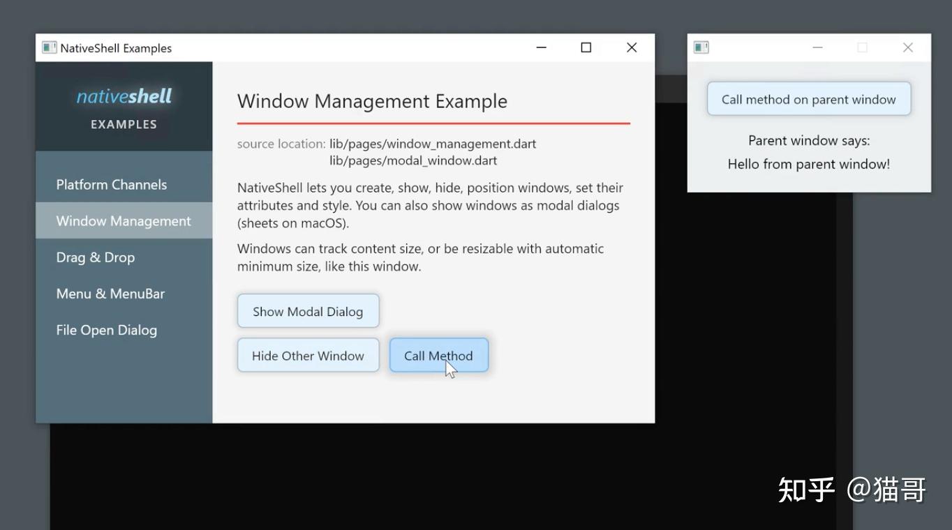 介绍 Flutter 桌面应用 NativeShell - 知乎