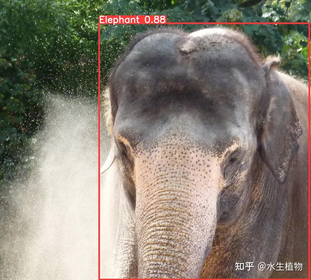 基于yolov5的迁移学习 - 知乎