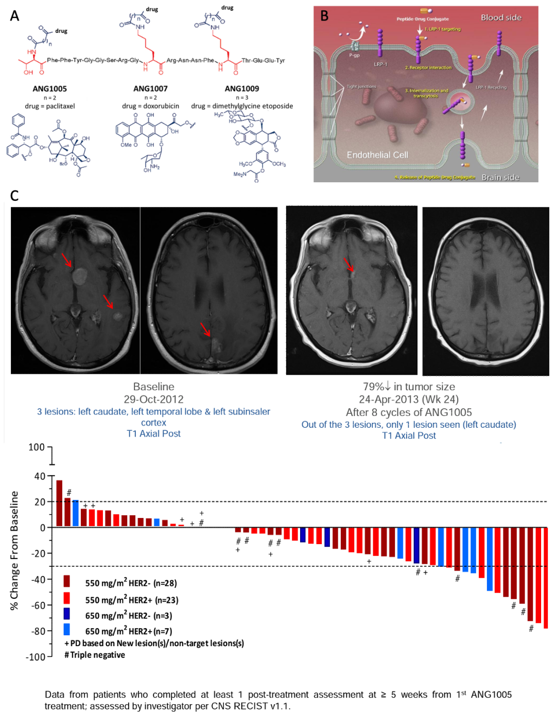 否极“肽”来，落花“瘤”水 -- 【多肽药物的力量】之在癌症治疗中的应用 - 知乎