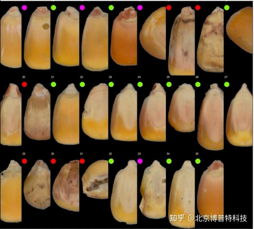 Videometer多光谱种子表型成像系统-种子形态生理表型产品解决方案 - 知乎