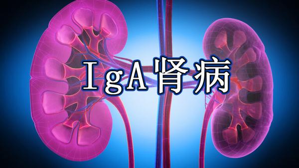 第二种降低IgA肾病蛋白尿新药！FDA加速批准Filspari(sparsentan) - 知乎