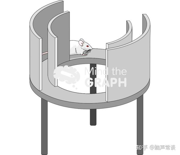 高架O迷宫实验测试哪些行为学指标？小欣博士3分钟告诉您 - 知乎
