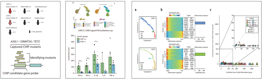 CHIP寻宝 | 克隆性造血未明之境 - 知乎