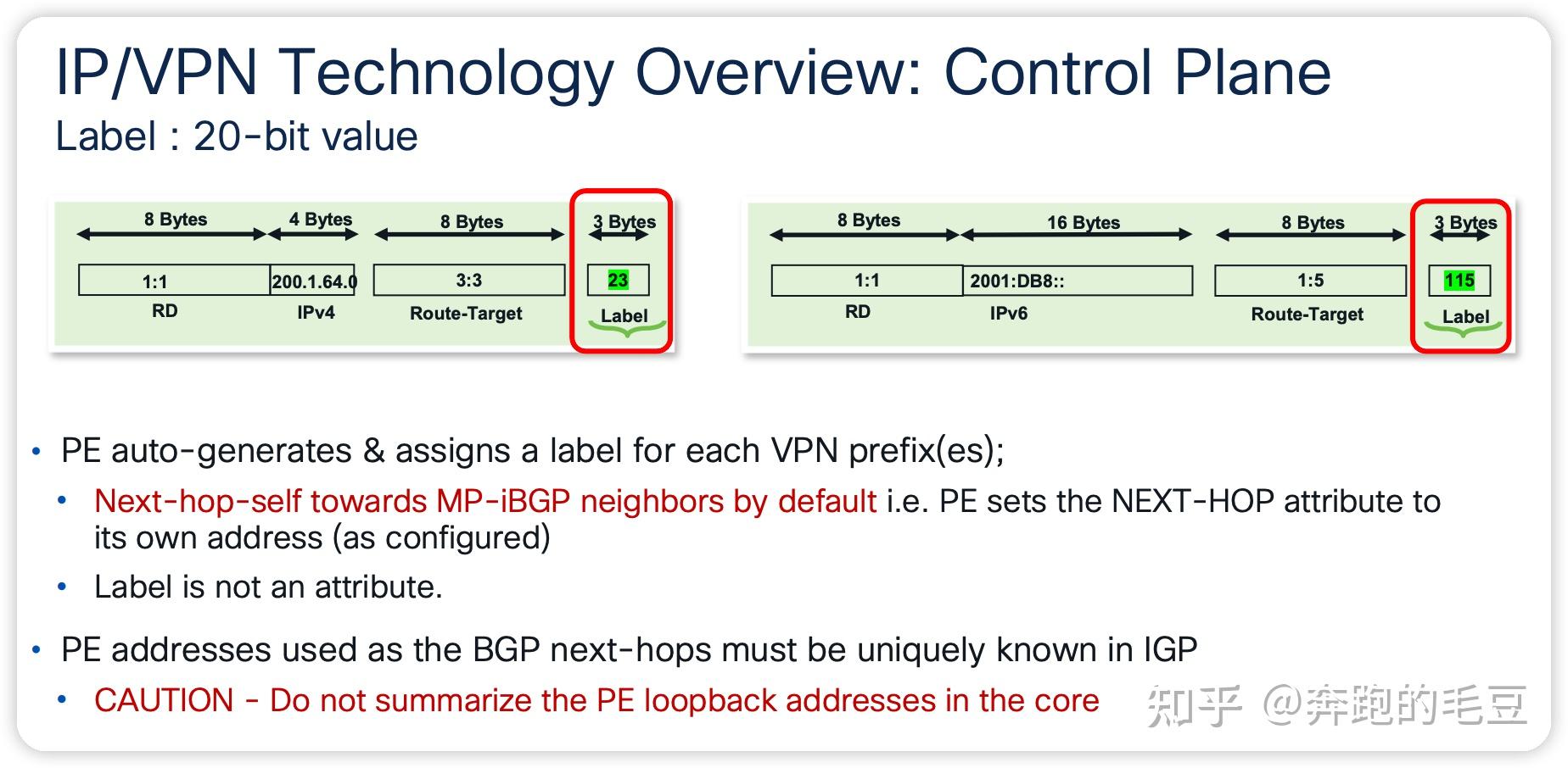 MPLS L3VPN - RD, RT, VPN Label - 知乎