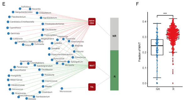 肿瘤微生物联合免疫做生信，多组学分析+二次聚类分型分析思路直取9分+，集齐各路创新点，太赞了，快点进来看! - 知乎