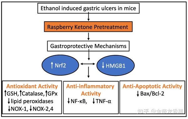香精与香料(71)—覆盆子酮(Raspberry ketone) - 知乎