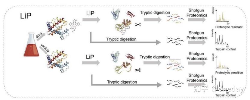 药物靶点筛选：从传统方法到前沿技术 - 知乎