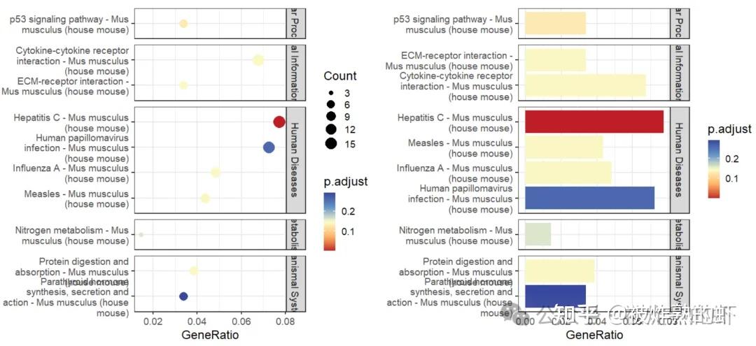 bulk RNA-seq | 下游分析 | 功能富集分析 ORA - clusterProfiler - 知乎