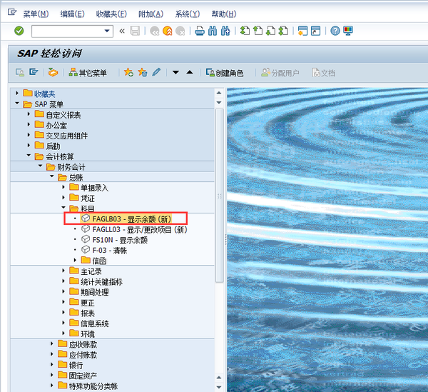 SAP软件 查询科目余额 FAGLB03 - 知乎