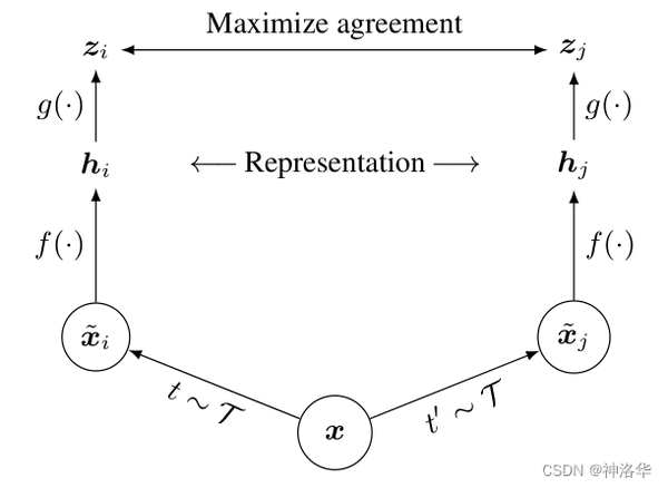 李沐论文精读系列三：MoCo、对比学习综述（MoCov1/v2/v3、SimCLR v1/v2、DINO等） - 知乎