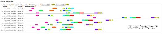 基因家族-MEME Motif鉴定 - 知乎