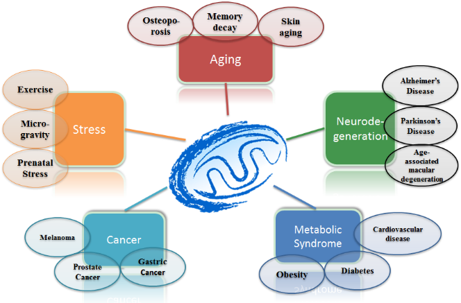 Cell Death Differ︱龙建纲/刘健康/张令强合作报道前列腺特异性癌基因OTUD6A促进前列腺癌发生机制 - 知乎