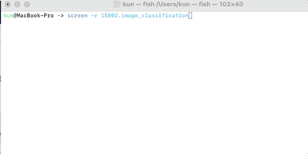 掌握Linux Screen命令：一站式终端管理器神器 - 知乎