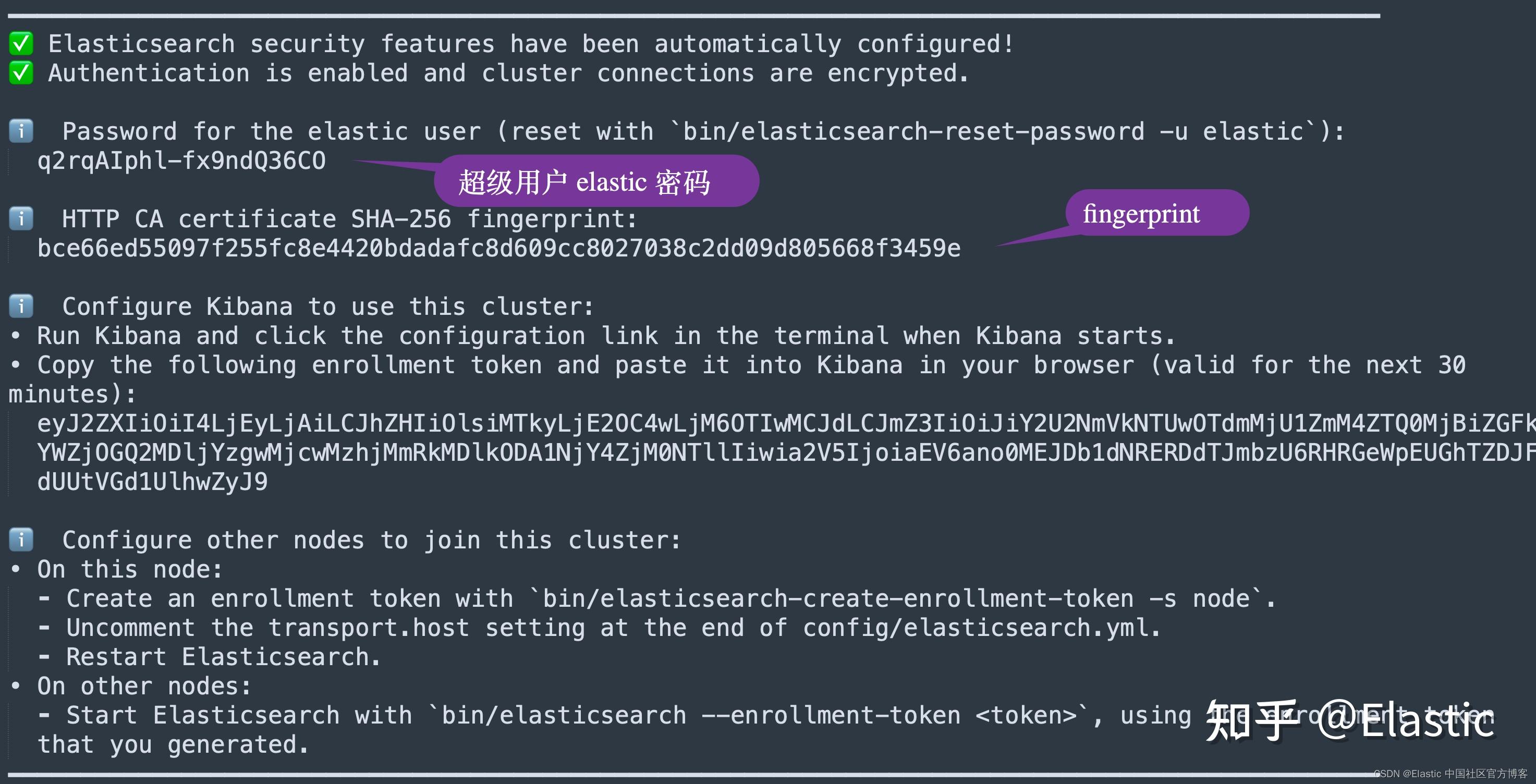 Elasticsearch：从 ES|QL 到 Python 数据帧 - 知乎
