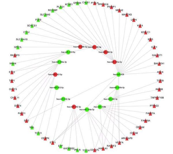 miRNA‑mRNA调控网络发文思路 - 知乎