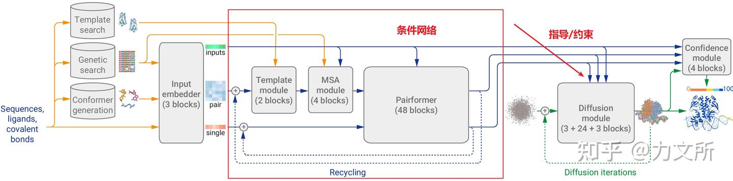 AlphaFold3：解谜蛋白质结构与相互作用！ - 知乎
