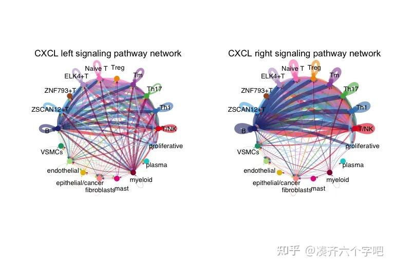 单细胞实战之cellchat——入门到进阶(高级篇1） - 知乎