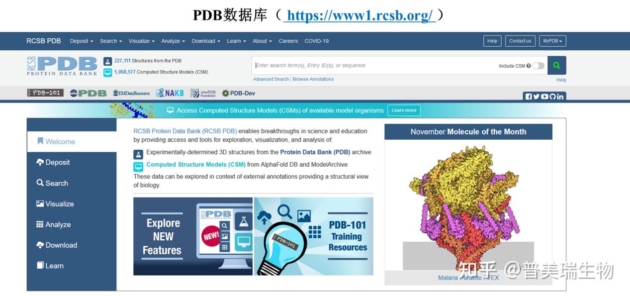 PDB数据库介绍 - 知乎