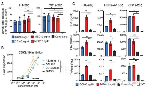 《科学》：靶向中介体激酶模块，增强CAR-T的抗肿瘤活性！ - 知乎