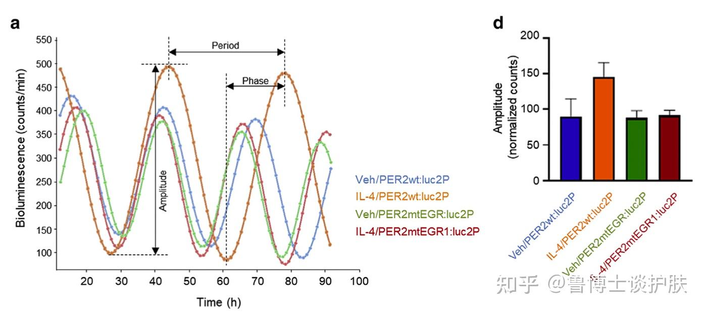 炎症因子IL-4通过EGR1调控节律系统中枢基因PER2 - 知乎
